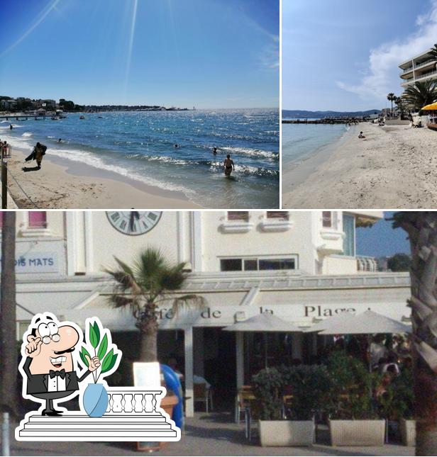 Le Café de la Plage, Antibes - Restaurant menu, prices and reviews