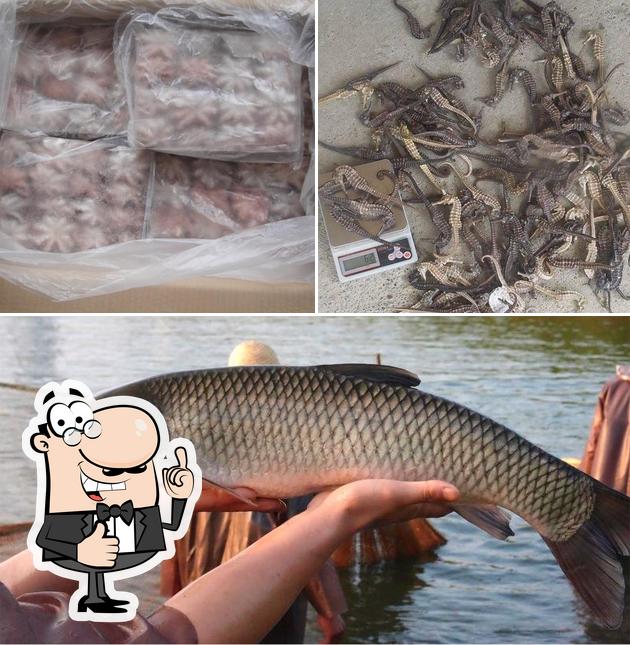 Barents Seafood As, Elsinor - Menú del restaurante, precios y reseñas