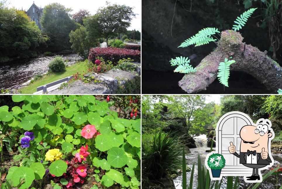 Millmount House, Dublin - Restaurant menu, prices and reviews