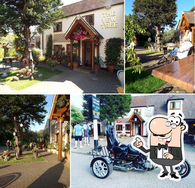 The Yew Tree, Kent, Maidstone - Restaurant menu, prices and reviews