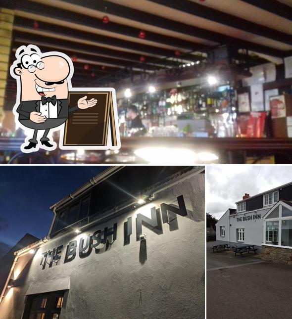 The Bush Inn, Robeston Wathen - Restaurant menu, prices and reviews
