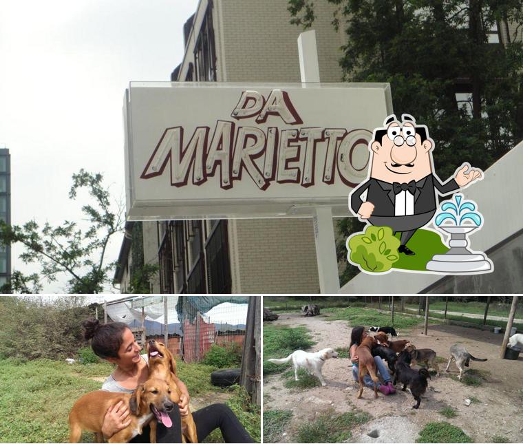 Da Marietto, Frankfurt am Main - Speisekarte, Preise und Bewertungen