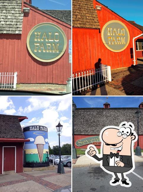 Halo Farm, Trenton - Restaurant menu, prices and reviews