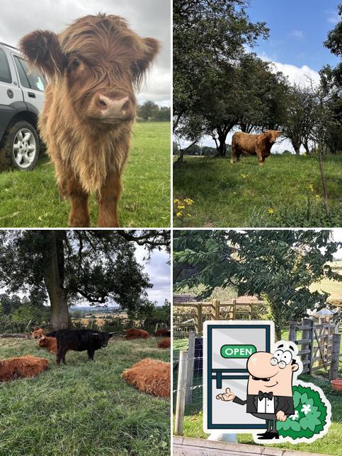 Lizzie’s Farm, Bromsgrove - Restaurant menu, prices and reviews