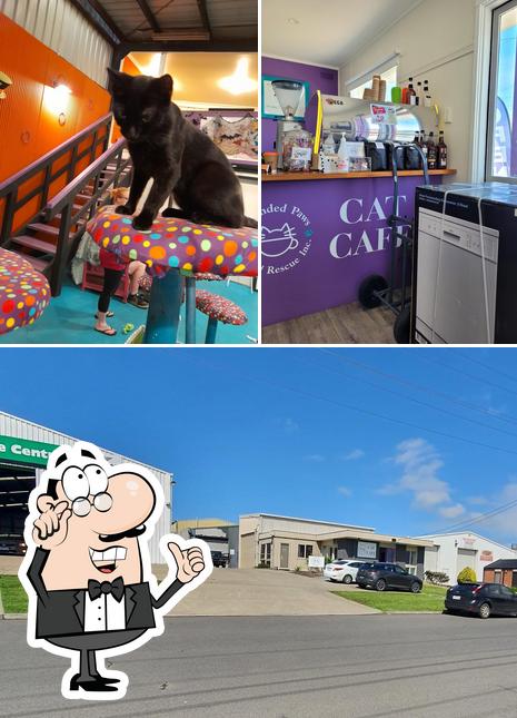 Grounded Paws Cat Cafe, Traralgon - Restaurant menu, prices and reviews
