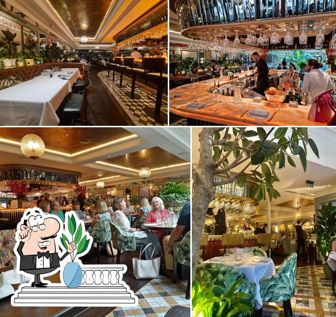 The Ivy Chichester, Chichester - Restaurant menu, prices and reviews