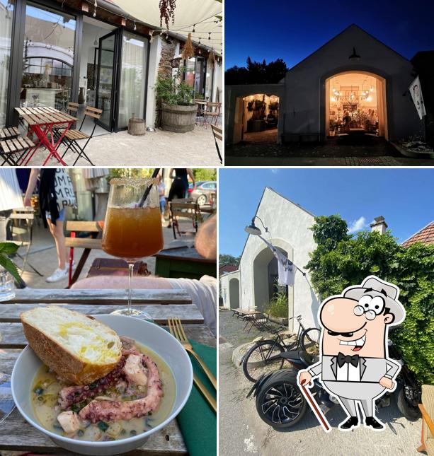 Wild Kitchen Modra, Modra - Restaurant menu, prices and reviews