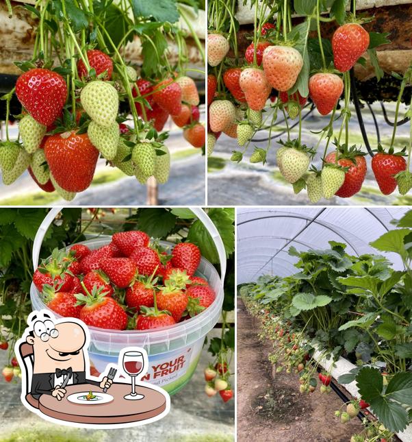Canalside Farm, Shop & Cafe, Stafford - Restaurant menu, prices and reviews