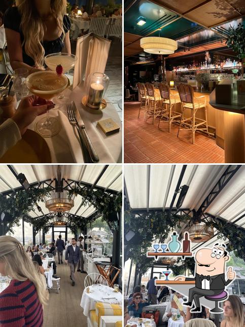 Perruche, Paris - Restaurant menu, prices and reviews