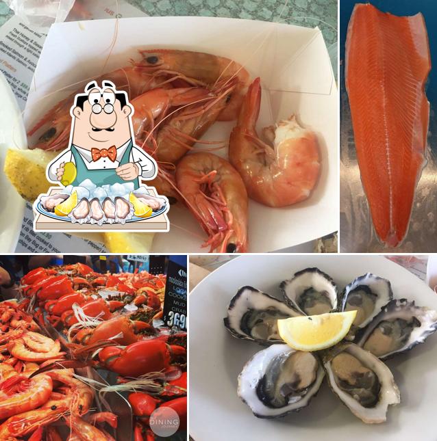 Top 5 restaurants with oysters in Mooloolaba, october 2025 - Restaurant ...