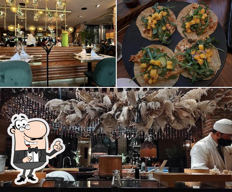 Animal Masaryk, Mexico City - Restaurant menu, prices and reviews