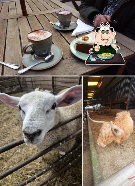 Lizzie’s Farm, Bromsgrove - Restaurant menu, prices and reviews