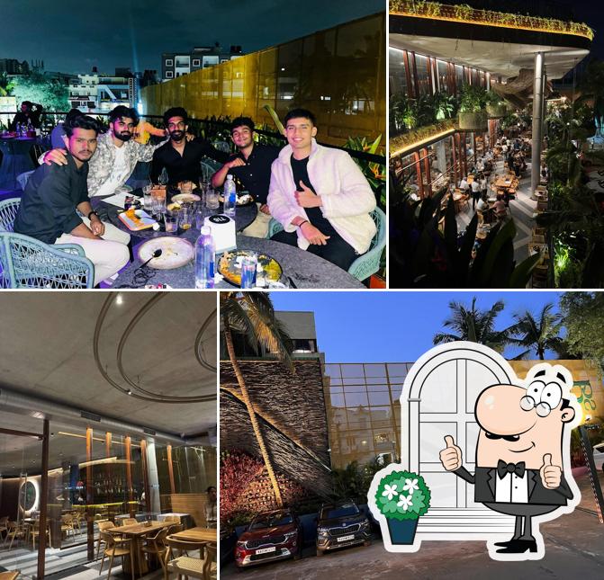 The Palms Brew and Kitchen, Bengaluru - Restaurant menu, prices and reviews