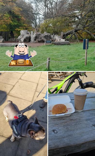 Ashridge Monument Café, Berkhamsted - Restaurant menu, prices and reviews