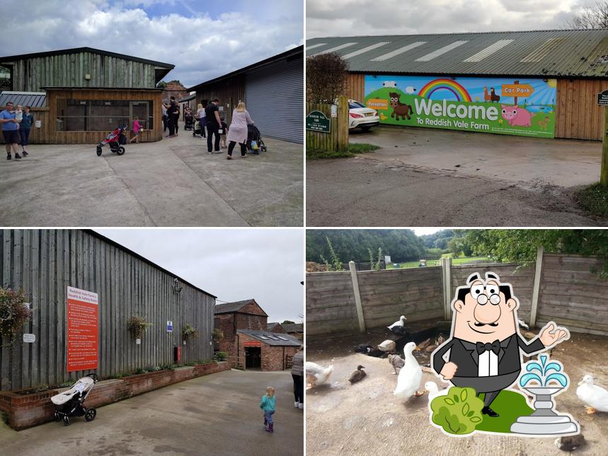 Reddish Vale Farm, Stockport - Restaurant menu, prices and reviews