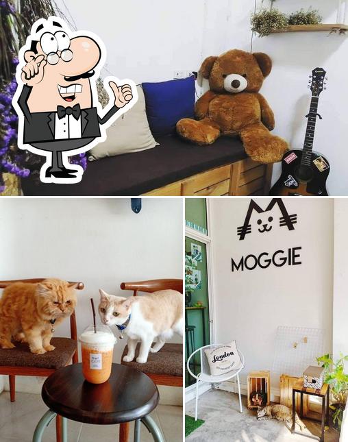 ชามุกป่าแดด moggie tea ชามุกตักเอง เทเอง จ่ายเอง, Chiang Mai - Menú del ...