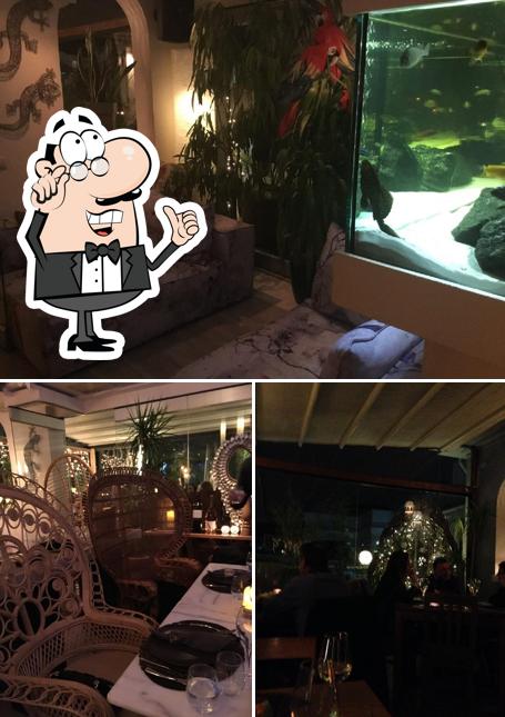 Maori Bar-Restaurant, Cefisia - Menú del restaurante, precios y reseñas