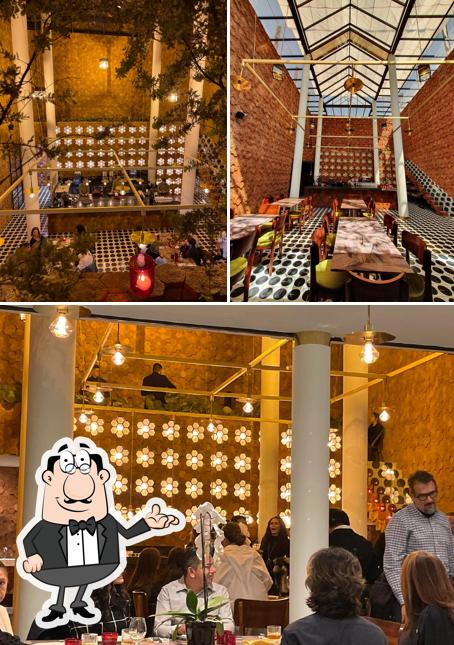 Octo Restaurante, Guadalajara - Menú del restaurante, precios y reseñas