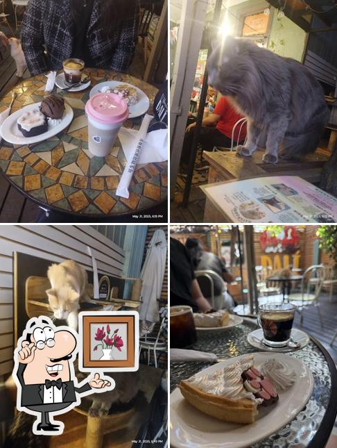 El Mundo de Dalí Catcafe, Providencia - Menú del restaurante, precios y ...