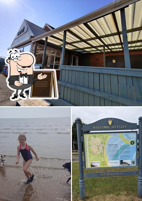 Country Park Cafe, Filey - Restaurant menu, prices and reviews