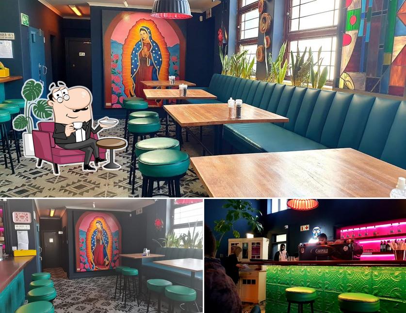 Tortuga Loca, Cape Town - Restaurant menu, prices and reviews