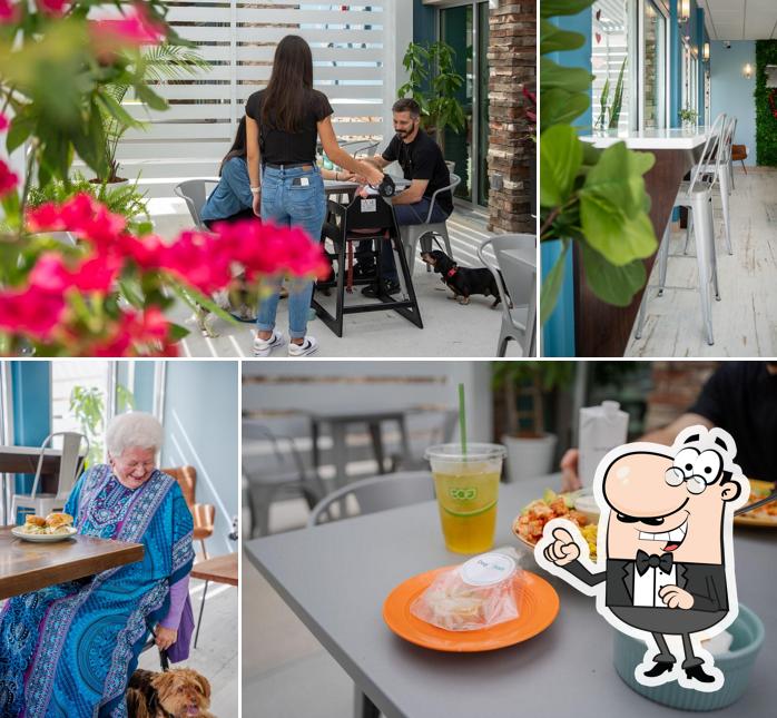 Dog Dayz Cafe, Winter Haven - Restaurant menu, prices and reviews