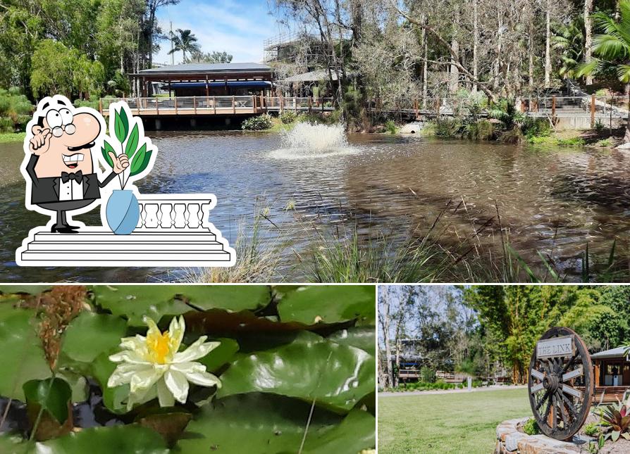 The Link Cafe, Toormina - Restaurant menu, prices and reviews