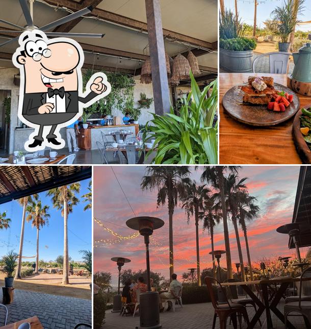 El Huerto Farm to Table, Cabo San Lucas - Restaurant menu, prices and ...