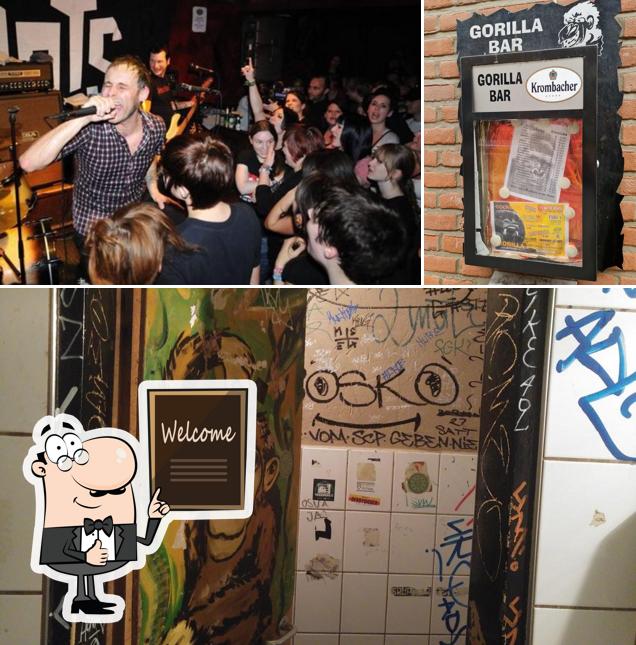 Gorilla Bar, Münster - Menú del restaurante, precios y reseñas