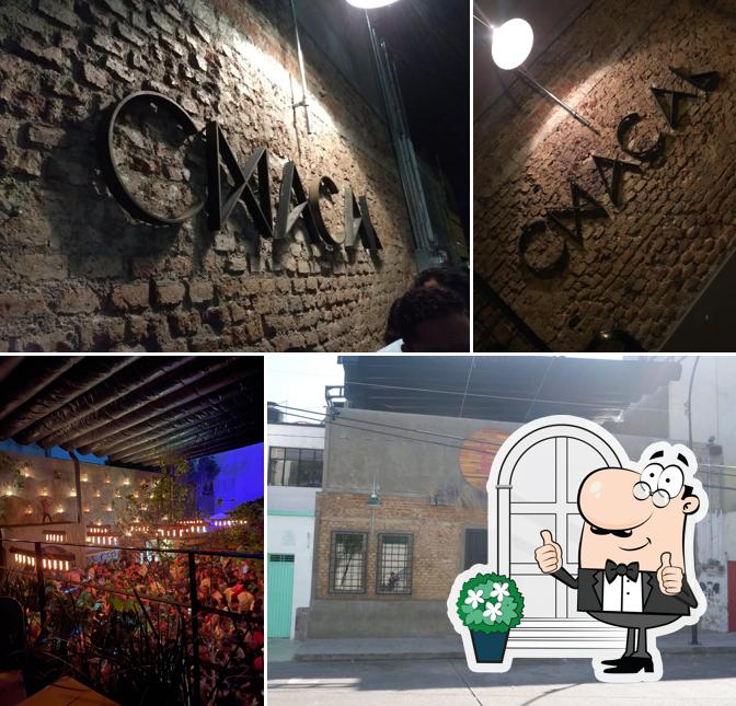 El Chacal, Guadalajara - Menú del restaurante, precios y reseñas