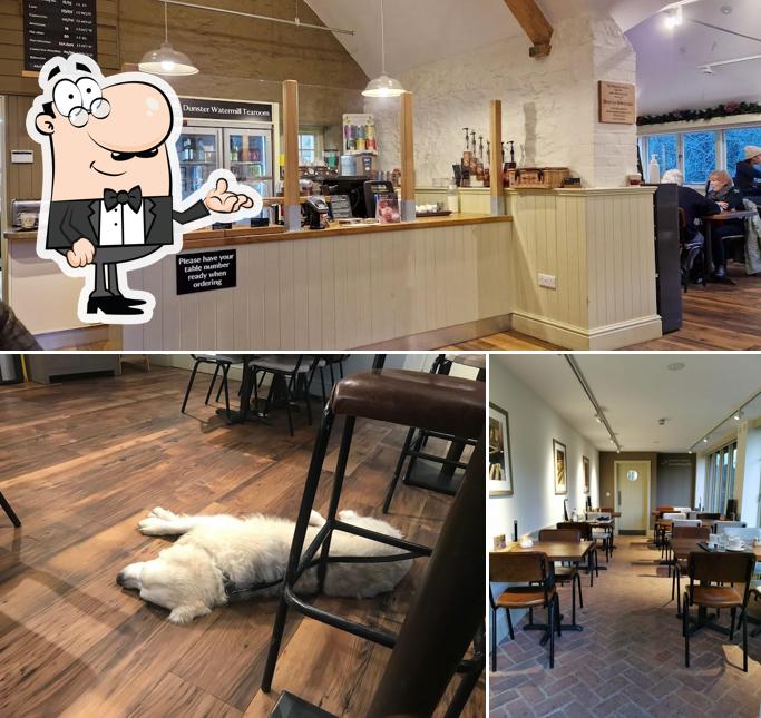 The Dunster Watermill Tea Room, Minehead - Restaurant menu, prices and ...