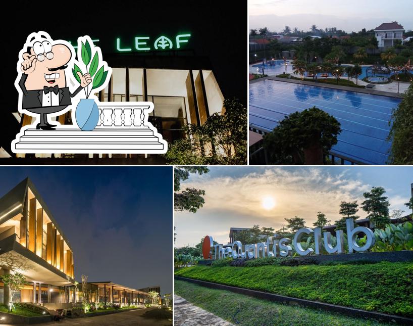 The Leaf Restaurant @The Quantis Clubhouse, BSD City, South Tangerang ...