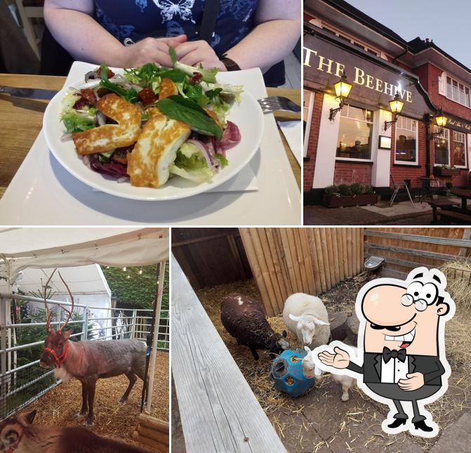 Top 10 restaurants in Enfield, october 2025 - Restaurant Guru