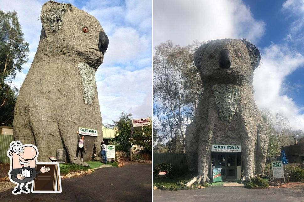 Giant Koala Restaurant Tourist Complex, Dadswells Bridge - Restaurant ...