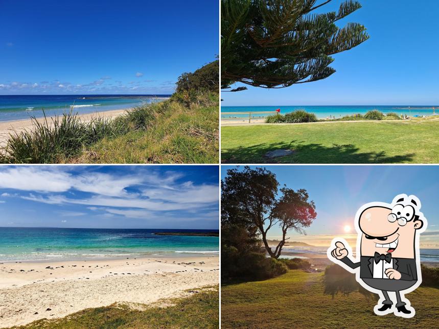 Mollymook Beach Hut Cafe, Mollymook - Restaurant menu, prices and reviews