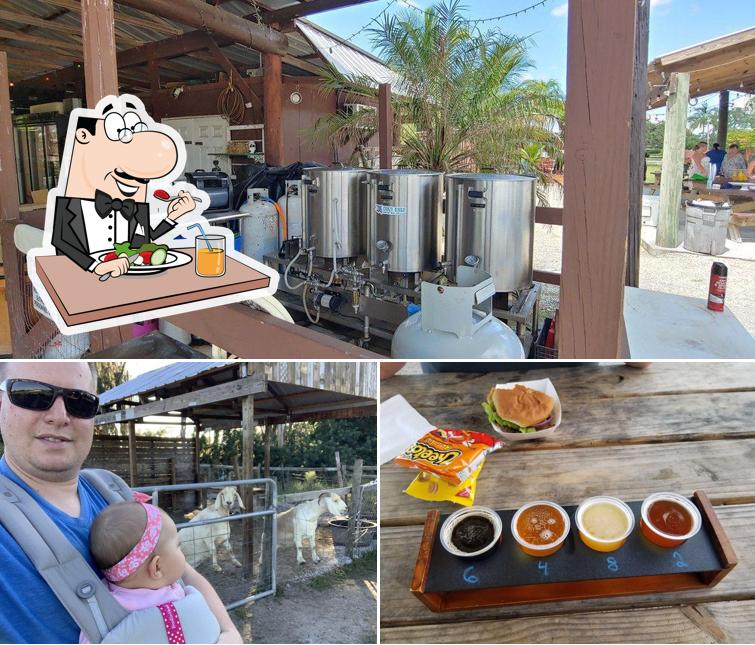 Crazy Dingo Brewing, Fort Myers - Restaurant menu, prices and reviews