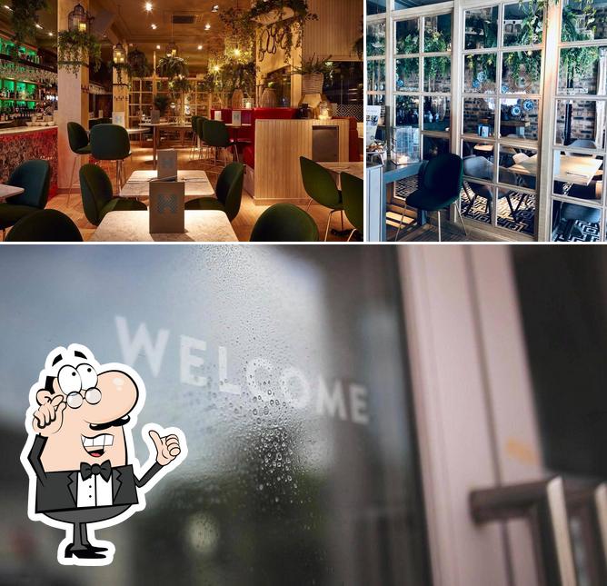 The Tree House, Ayr - Restaurant menu, prices and reviews