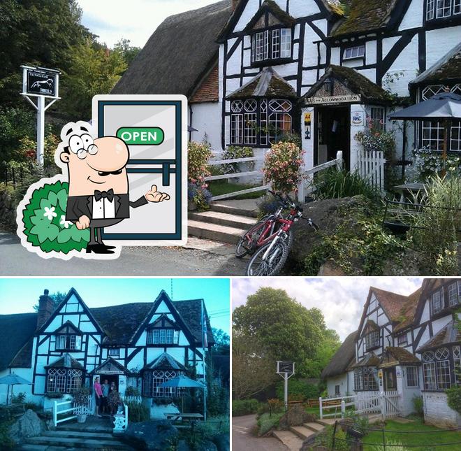 White horse inn, Bampton - Restaurant menu, prices and reviews