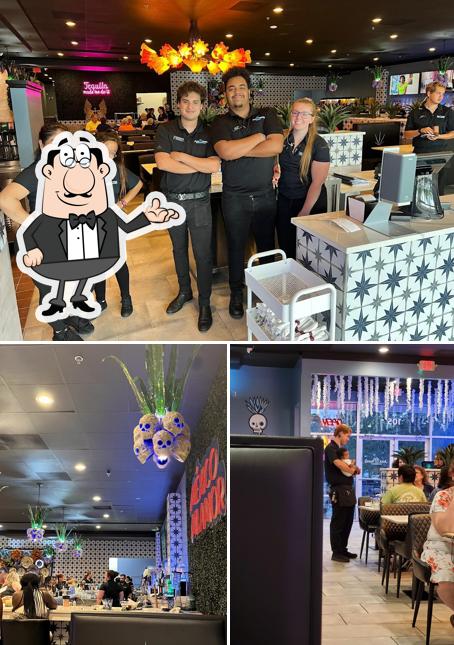 Azul Tequila, Ocala - Restaurant menu, prices and reviews