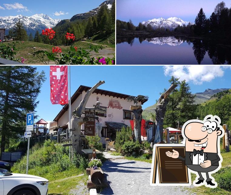 Restaurant Moosalp, Törbel - Speisekarte, Preise und Bewertungen
