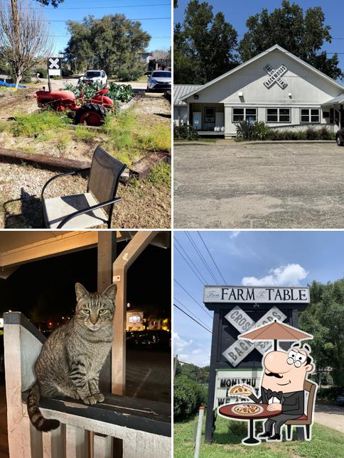 Backwoods Crossing, Tallahassee - Restaurant menu, prices and reviews