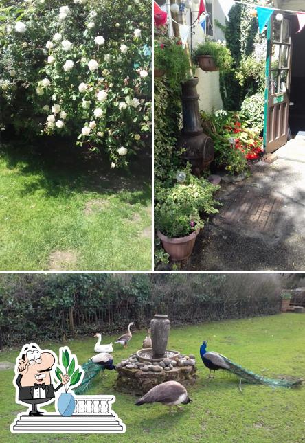 The Lilley Arms, Luton - Restaurant menu, prices and reviews