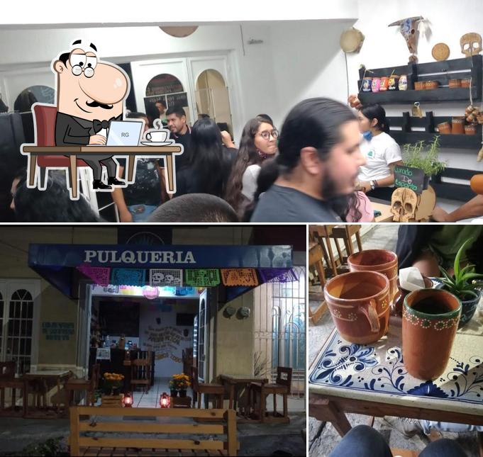 El Alacrán Pulcata de Barrio pulqueria, Guadalajara - Restaurant menu ...