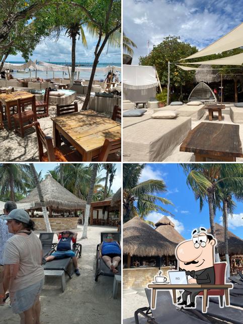 Albatros Beach Club Restaurant & Bar, Isla Mujeres - Restaurant menu ...