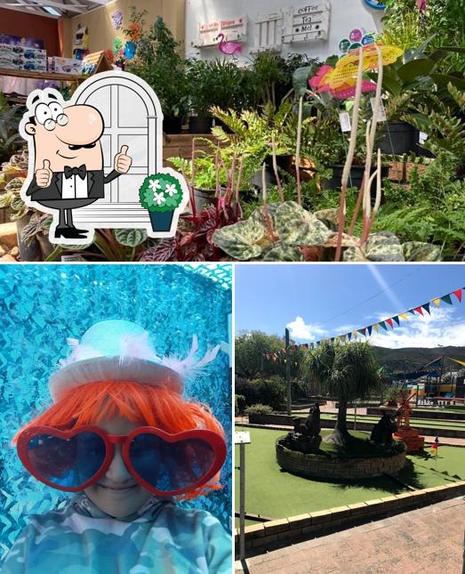 Wonderland Nursery, Coffee shop & Playpark, Hermanus - Restaurant menu ...
