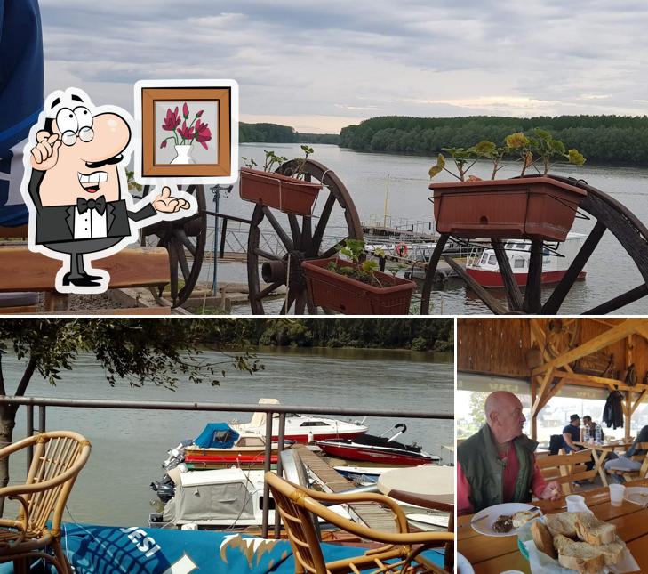 Čarda Plavi Dunav, Banoštor - Restaurant menu, prices and reviews