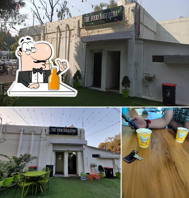 THE FOOD BAGEECHA, Lucknow - Restaurant menu, prices and reviews