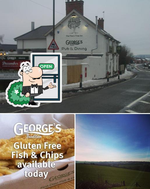 The Thorn Tree Inn, Codnor - Restaurant menu, prices and reviews