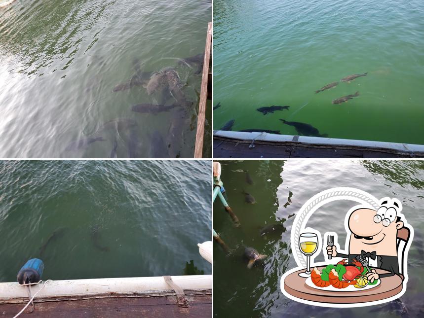 Copper Cove Marina - Restaurant menu, prices and reviews