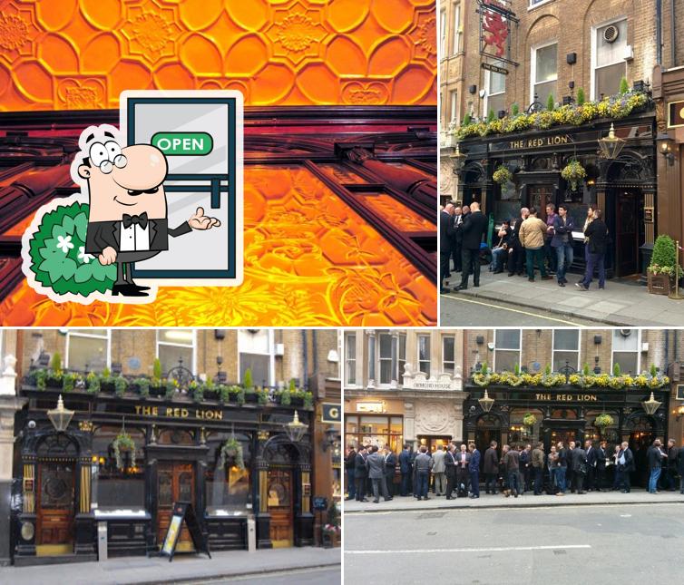 The Red Lion, Mayfair, London - Restaurant menu, prices and reviews